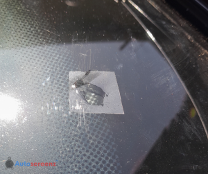 Autoscreenz™ ProLaunch Essentials Windscreen Repair Kit - Autosparez